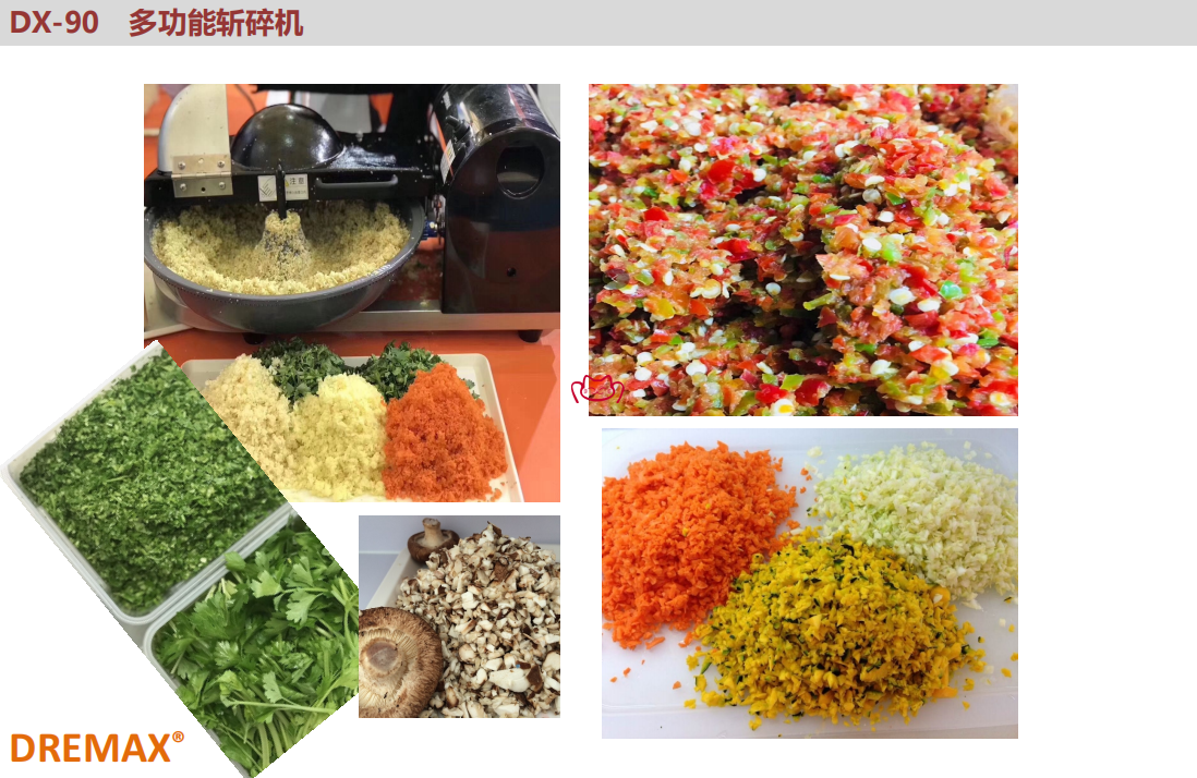 DREMAX DX-90多功能蔬菜斩碎机_._国际品牌商用厨房设备批发_进口酒店厨房设备_进口商用厨具 国际大品牌代理批发，一手货源——深圳市招财猫酒店设备用品公司